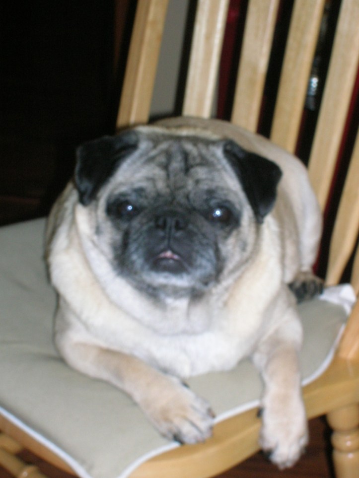 Innofoods Almond Fruit Crunch Cereal – The Gluten Free Pug Lover