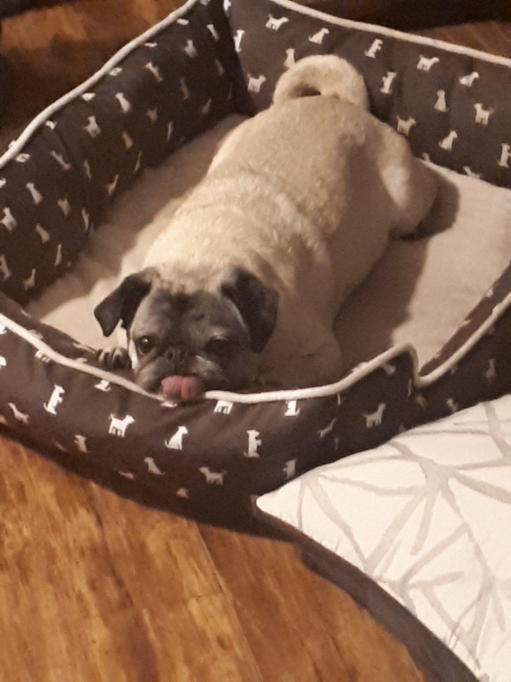 Minute Maid Orange Juice – The Gluten Free Pug Lover